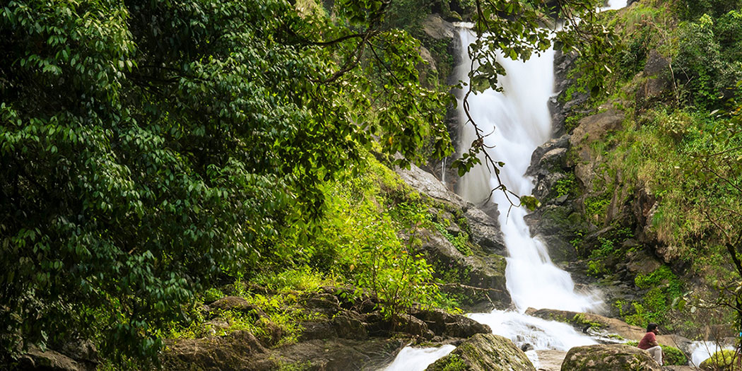 Wayanad Wild Resort at Vythri Lakkidi Wayanad by CGH Earth